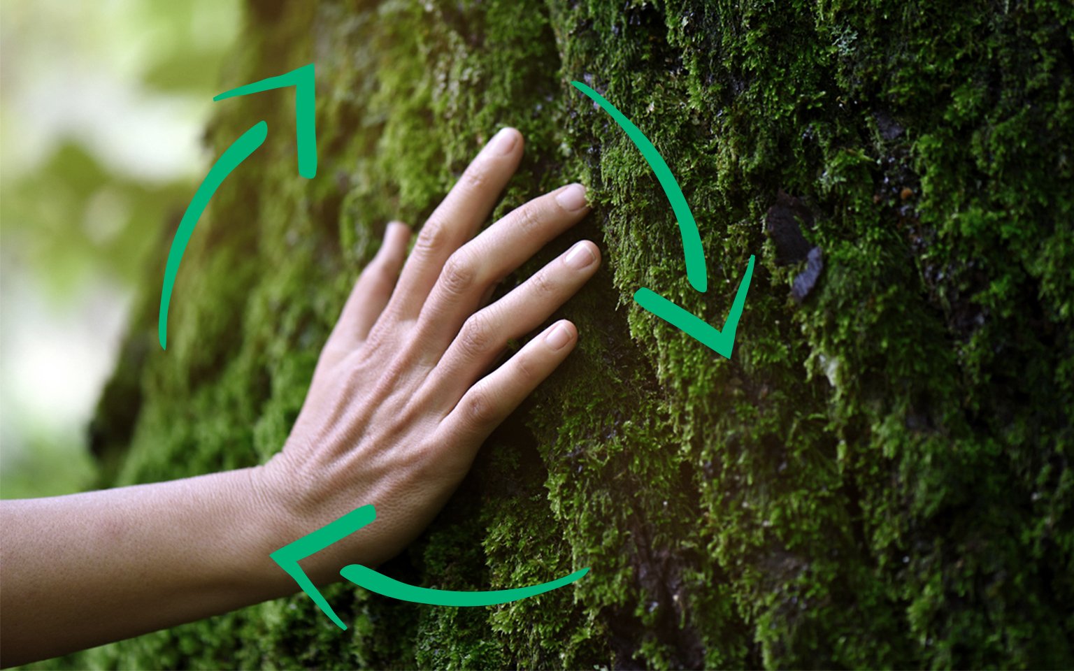 Why sustainable business practices matter | Kyocera